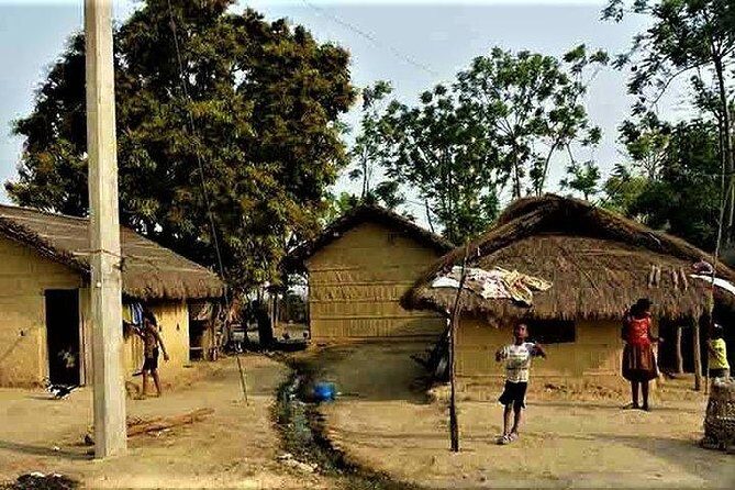 Jeep Safari in Chitwan National Park - Authenticity and Review Insights