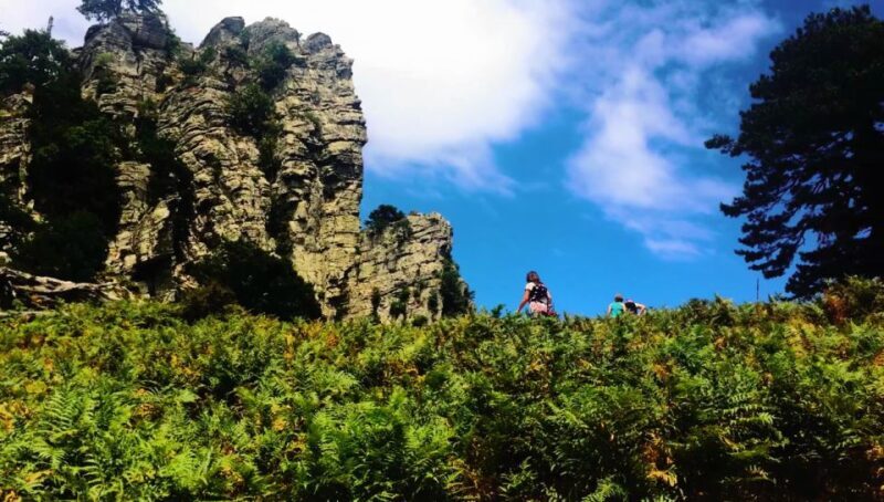 Jeep Safari in Thassos Mountain - Discovering Thassos’ Old Village Heritage