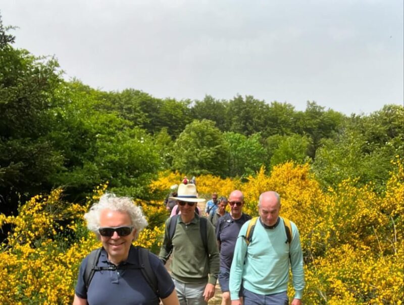 Jeep safari in the Aspromonte National Park - Who Should Consider This Tour?