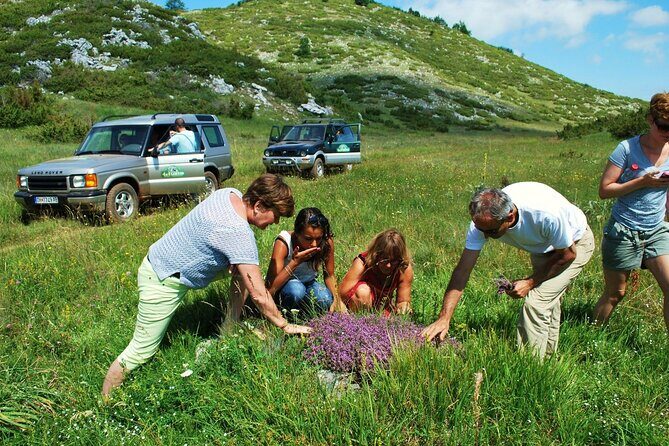 Jeep Safari National Park Galicica - The Sum Up
