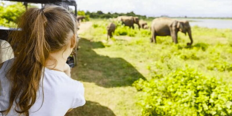 Jeep Safari to Udawalawa National Park from Colombo - Key Points