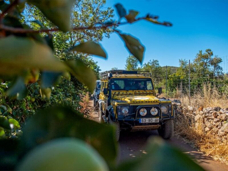 Jeep Safari Tour - Full Day - Key Points