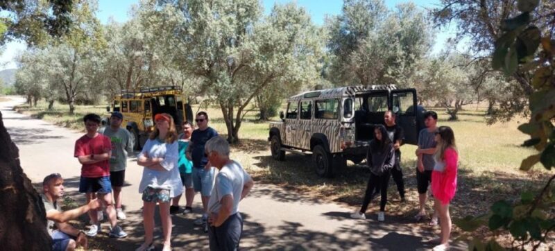 Jeep Safari Tour - Full Day - Overview of the Experience