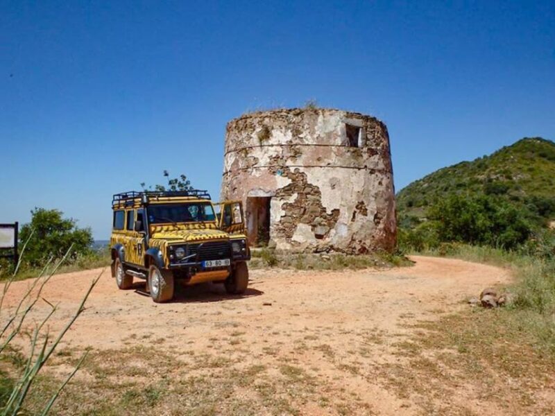 Jeep Safari Tours- Half Day - Authenticity and Value: What the Reviews Say