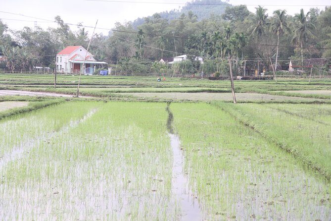 Jeep Tour Danang to Hai Van Pass Lunch Lang Co Beach & Waterfall - Authentic Experiences That Make this Trip Special