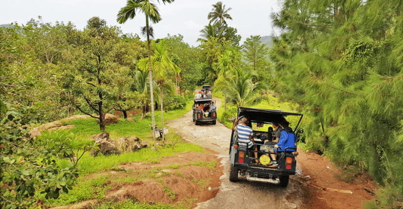 Jeep Tour Koh Samui Jungle Safari Full Day Adventure - An In-Depth Look at the Jungle Safari Experience
