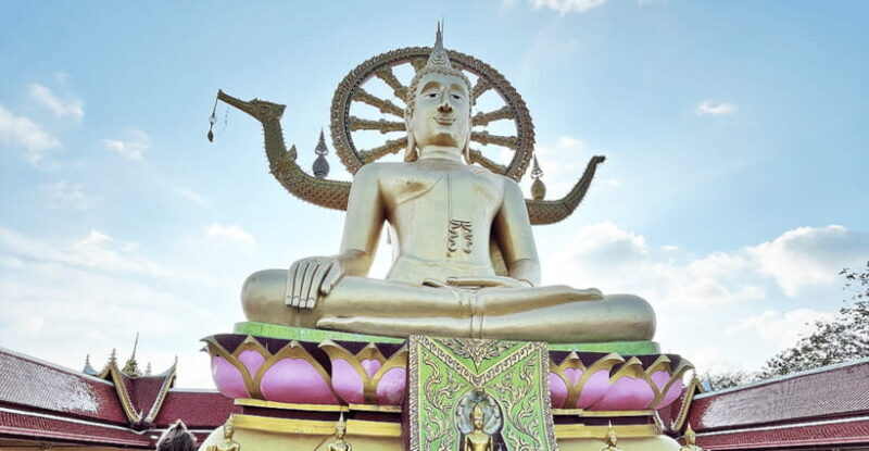 Jeep Tour Koh Samui Jungle Safari Full Day Adventure - Who Is This Tour Best Suited For?
