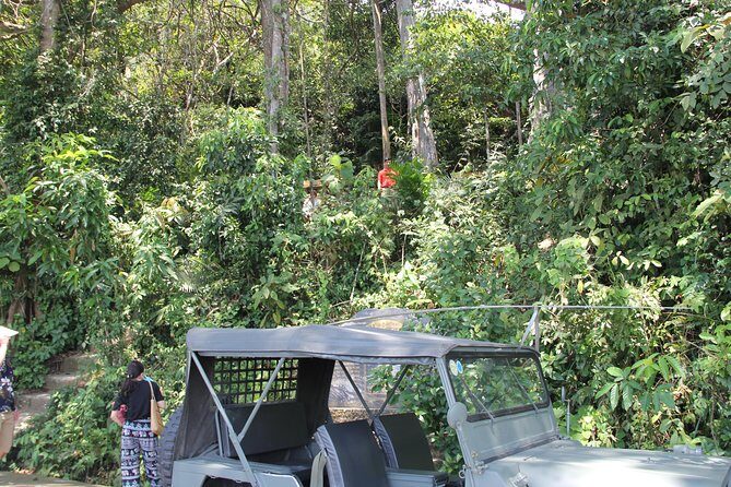 Jeep Tour Monkey Mountain & Son Tra Peninsula 3Hr - Local Culture and Landmarks