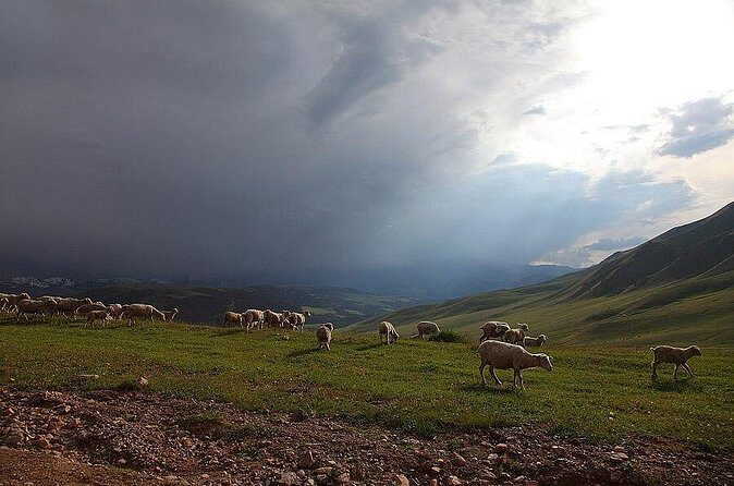 Jeep Tour: Plateau Assy - Authentic Traveler Insights