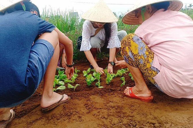 Jeep Tour to Hoi An Countryside with 3 Local Villages & Basket Boat Ride - The Experience for Different Types of Travelers