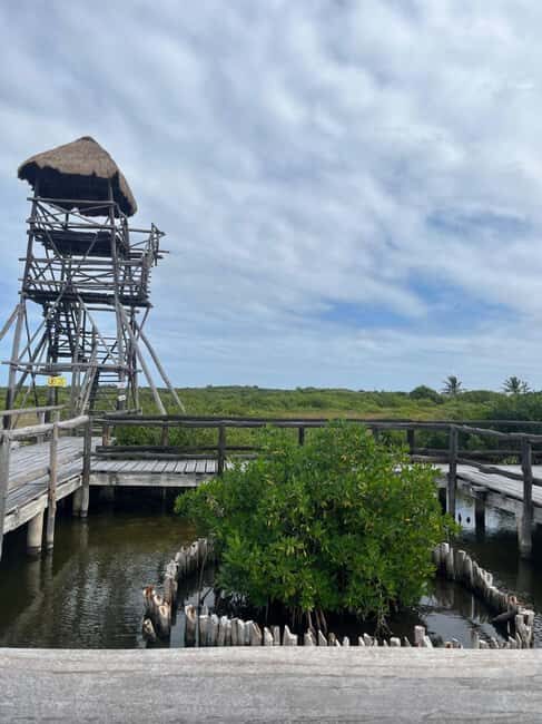 Jeep Tour to Punta Sur Eco Beach Park with Lunch - Key Points