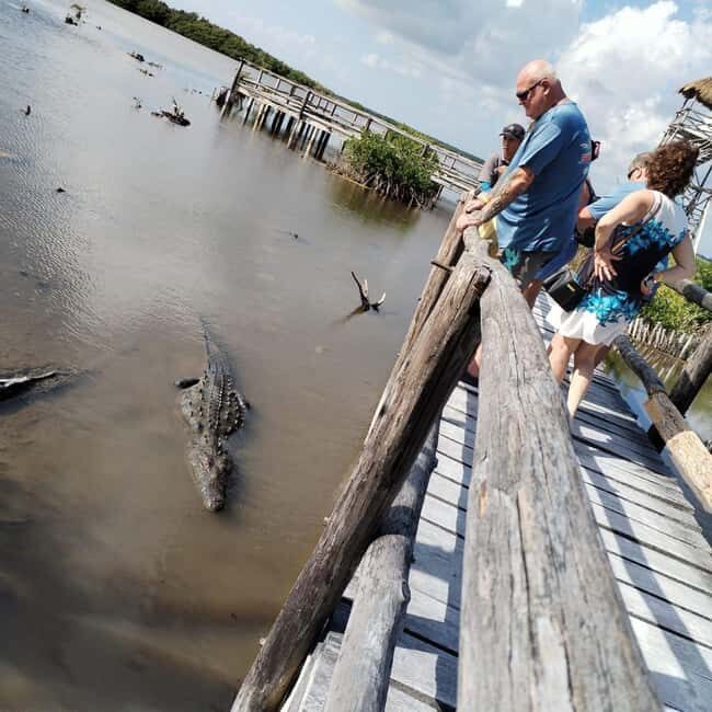 Jeep Tour to Punta Sur Eco Beach Park with Lunch - What Travelers Say