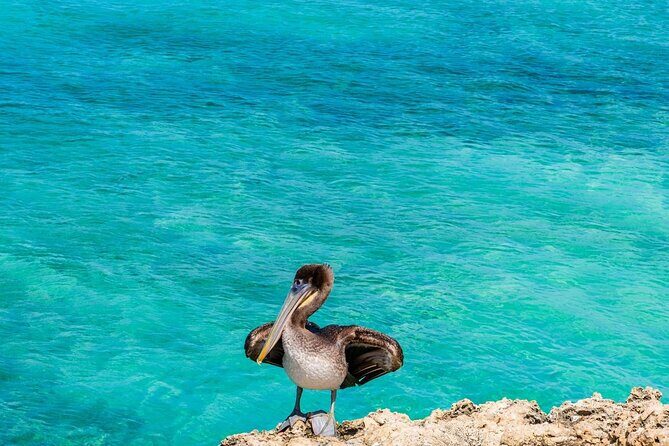 Jeep Wrangler 4 Door HardTop Rental in Aruba - Practical Tips for Your Rental Day