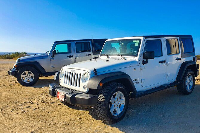 Jeep Wrangler Jk Hardtop 4 door - Authentic Experience and Customer Feedback