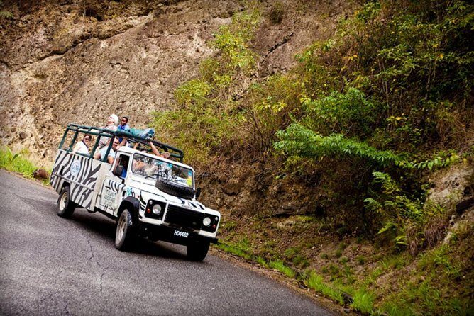 Jeep & Zip Safari St. Lucia From Castries - Key Points