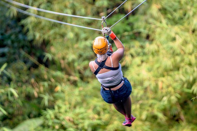 Jeep & Zip Safari St. Lucia From Castries - FAQ