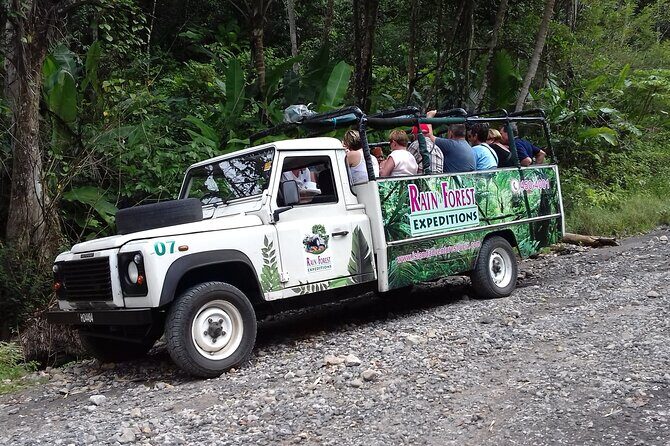 Jeep & Zipline Adventure in St. Lucia - An In-Depth Look at the Jeep & Zipline Experience