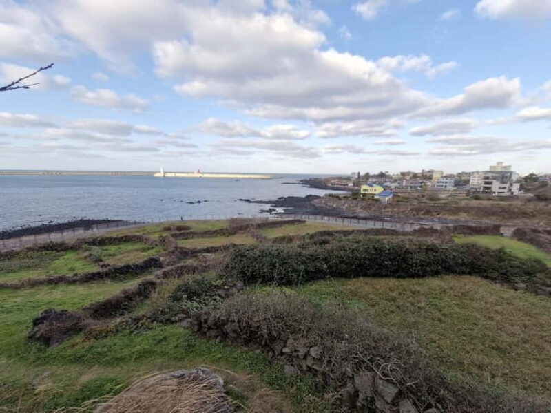 Jeju: 4.3 Incident History & Cultural Tour with a Guide - Key Points