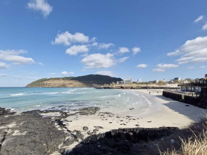 Jeju: 4.3 Incident History & Cultural Tour with a Guide - An In-Depth Look at the Tour