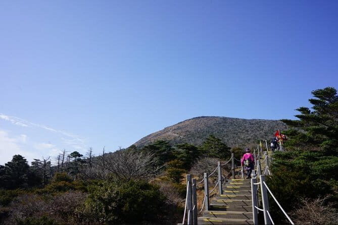Jeju Airport Private Transportation Service - One way - Authentic Experiences and Traveler Feedback