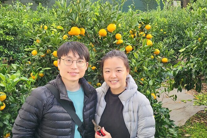 Jeju airport start & west tour & drop off in seogwipo(Jeju city) - The Sum Up