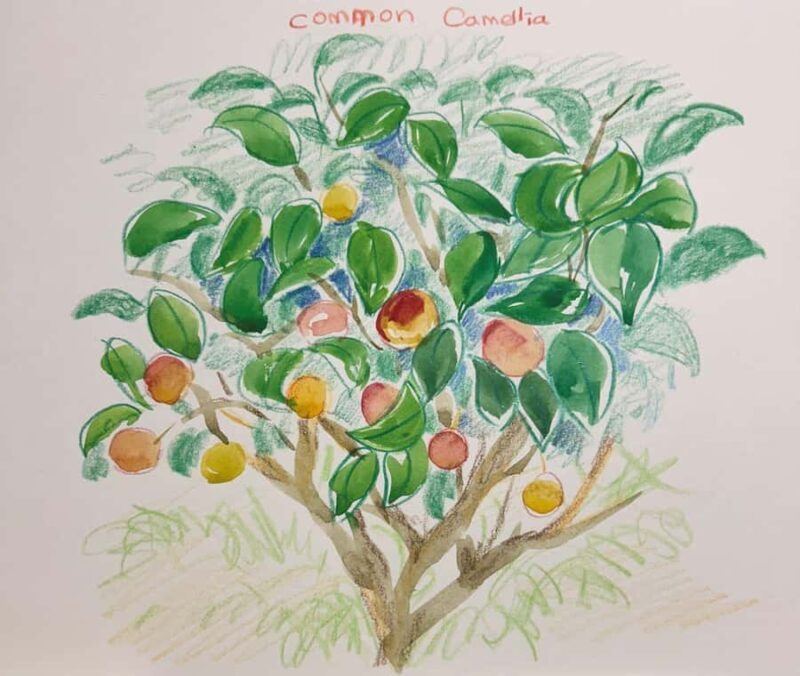 Jeju Art Escape: Explore, Create, Inspire - Personalized Artistic Themes: A Creative Cornerstone