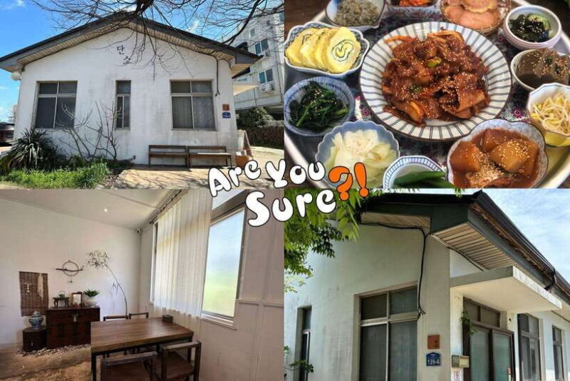 Jeju: BTS Are You Sure?! Filming Locations Private Taxi Tour - Real Reviews and Feedback