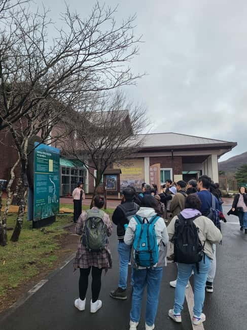 Jeju: Cherry Blossom South & West Day Tour with Hotel Pickup - Key Points