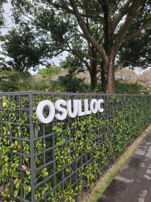 Jeju: Cherry Blossom South & West Day Tour with Hotel Pickup - Exploring the Itinerary: What Travelers Can Expect
