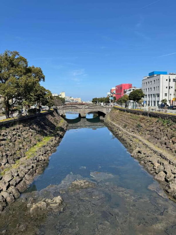 Jeju city walking tour with a certified guide - Key Points