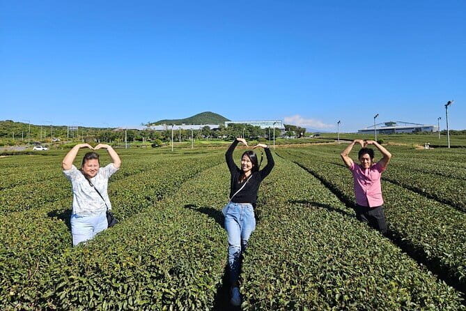 Jeju Customize Private VAN Tour of East or West or South (~8pax) - A Complete Guide to the Jeju Private VAN Tour