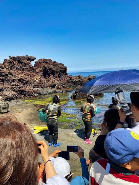 Jeju: customized shore excursions for up to 7 people - Why You’ll Love This Experience