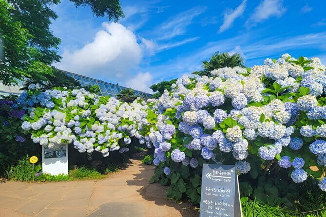 Jeju Day Tour for Cruise Guests - Who Will Love This Tour?