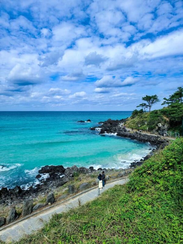 Jeju: Day Tour Hanbok, HALLASAN, Camellia, Sauna (W/pick-up) - The Sum Up