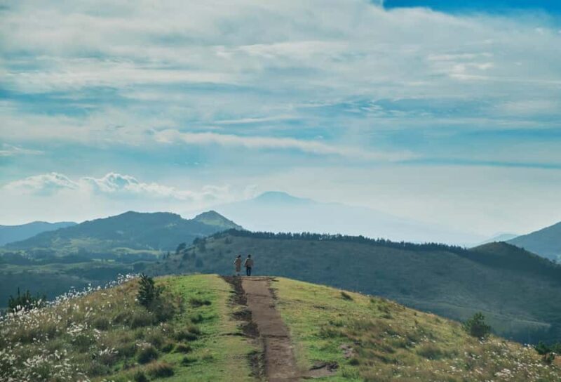 Jeju: Day Tour, Small Volcano & Landmark & UNESCO Heritage - Exploring Jeju: A Rich Tapestry of Nature and Culture