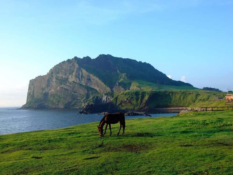 Jeju: Day Tour, Small Volcano & Landmark & UNESCO Heritage - FAQ