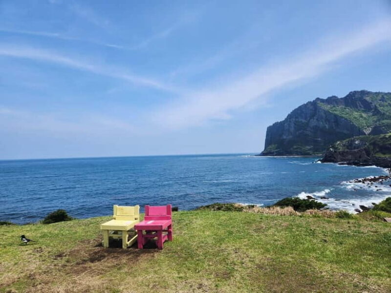 Jeju East: Cherry Blossom Early Bird Tour with Hotel Pickup - Key Points