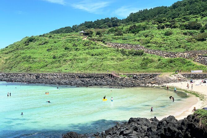 Jeju East Hydrangea Tour with UNESCO site - What Travelers Can Expect: The Practical Side