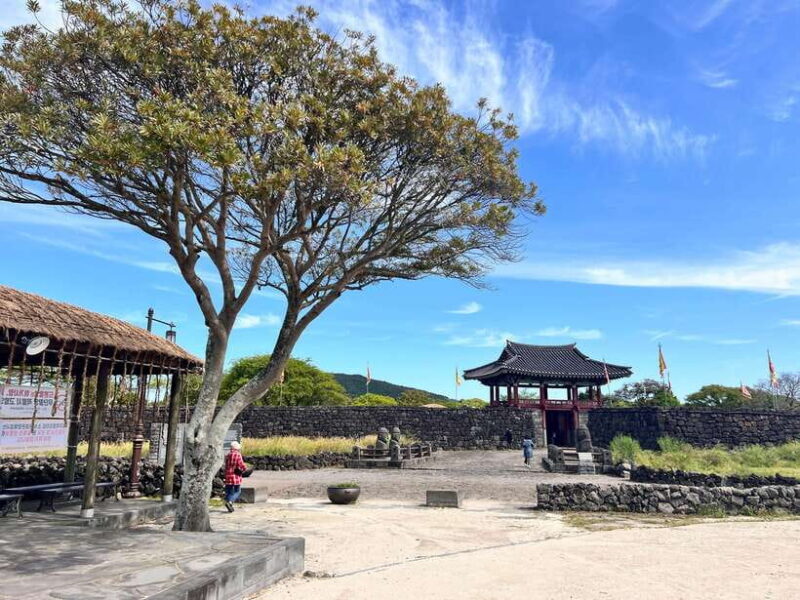 Jeju: East of Jeju Island Bus Tour from Seogwipo City - An In-Depth Look at the Tour Experience