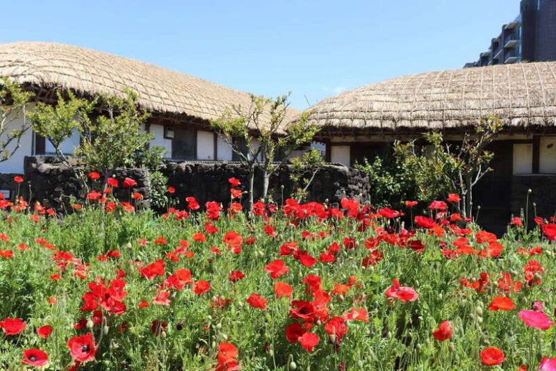 Jeju: East of Jeju Island Bus Tour from Seogwipo City - FAQs