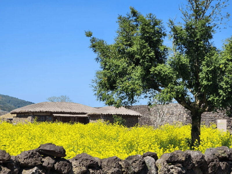 Jeju: Eastern Jeju UNESCO Spots Day Tour - Authentic Experiences Backed by Guest Praise