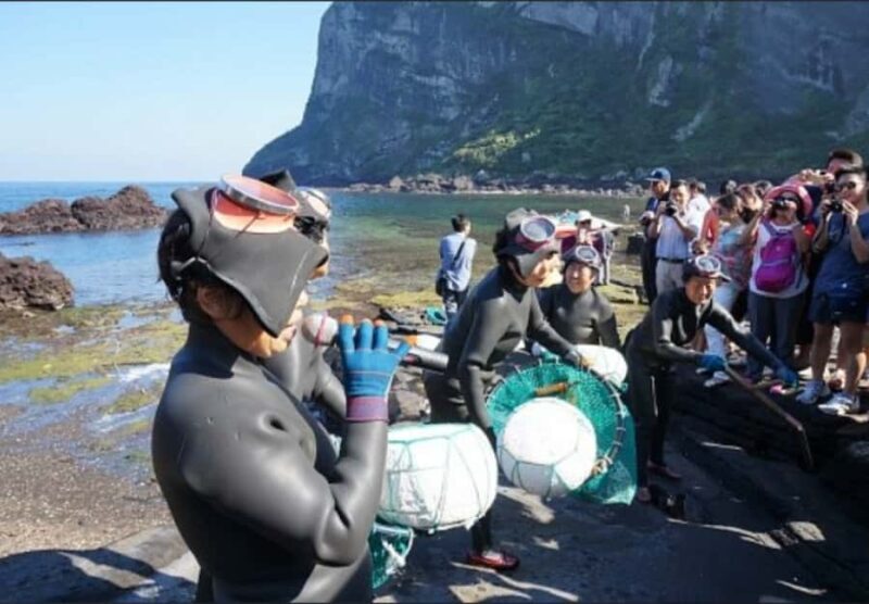 Jeju: Eastern Spring Cherry blossom& Canola & UNESCO Tour - Who Should Take This Tour?