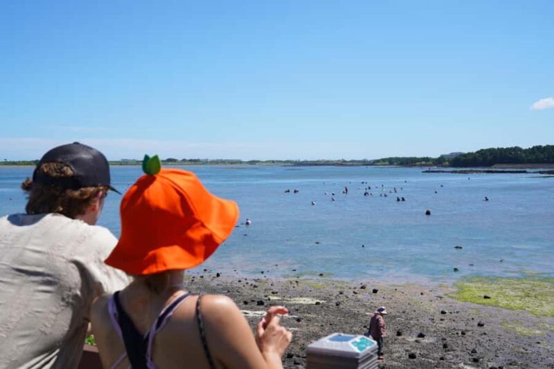 Jeju: Eastern UNESCO Join in Tour (Seongsan, Haenyeo Show) - Practical Considerations and Tips