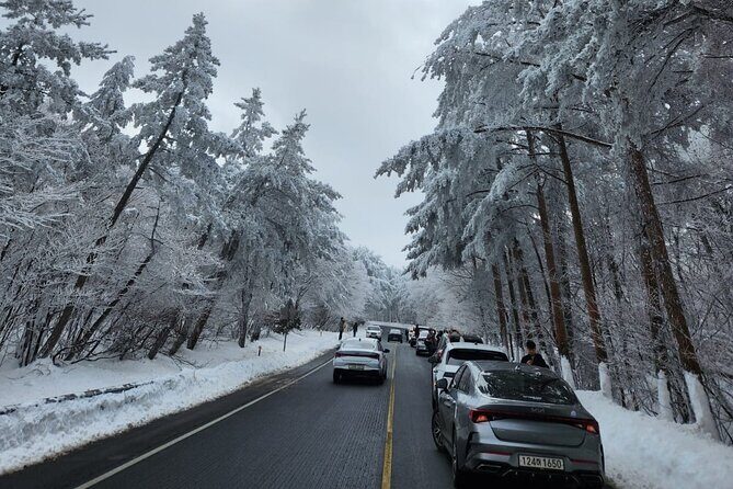 Jeju English Private Taxi Tour(1day, 2days, 3days & 1 to 8pax) - Pricing and Value