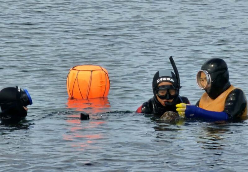 Jeju: Haenyeo Culture Experience with Seafood Tasting - Key Points