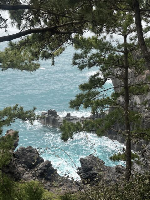 Jeju: Highlight Customized Private tour with Expert Guide - Why Choose This Private Jeju Tour?