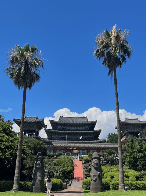 Jeju: Highlight Customized Private tour with Expert Guide - Authentic Experiences and What Travelers Say