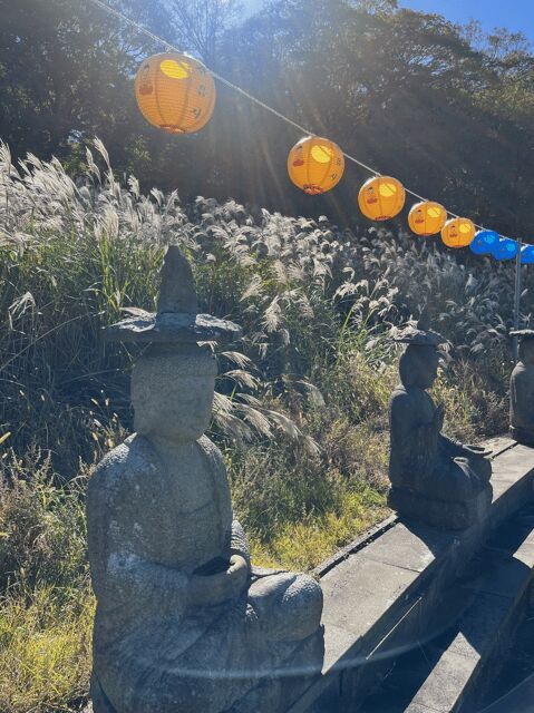 Jeju: Highlight Customized Private tour with Expert Guide - Cost and Value