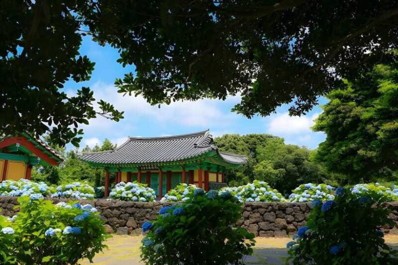 Jeju Hydragea Festival Tour : EAST Route - The Value of the Tour