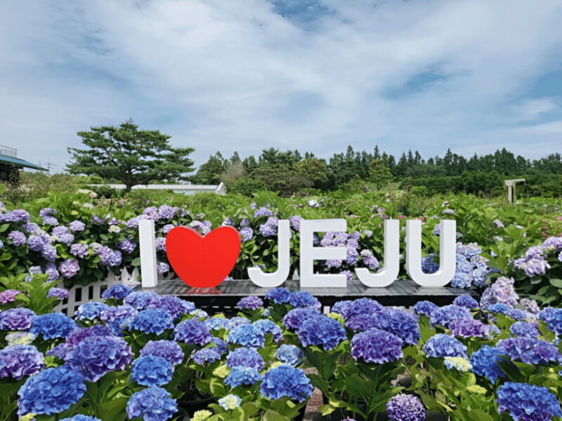 Jeju Hydragea Festival Tour : EAST Route - Frequently Asked Questions